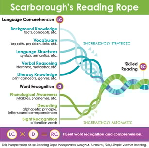 Navigating Literacy Excellence: Unveiling the Significance of ...